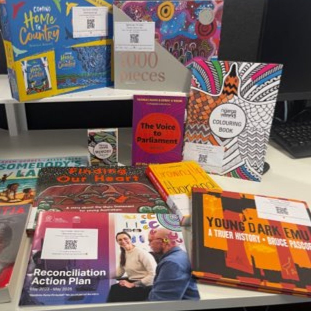 CALHN’s inaugural Reconciliation Cup a success