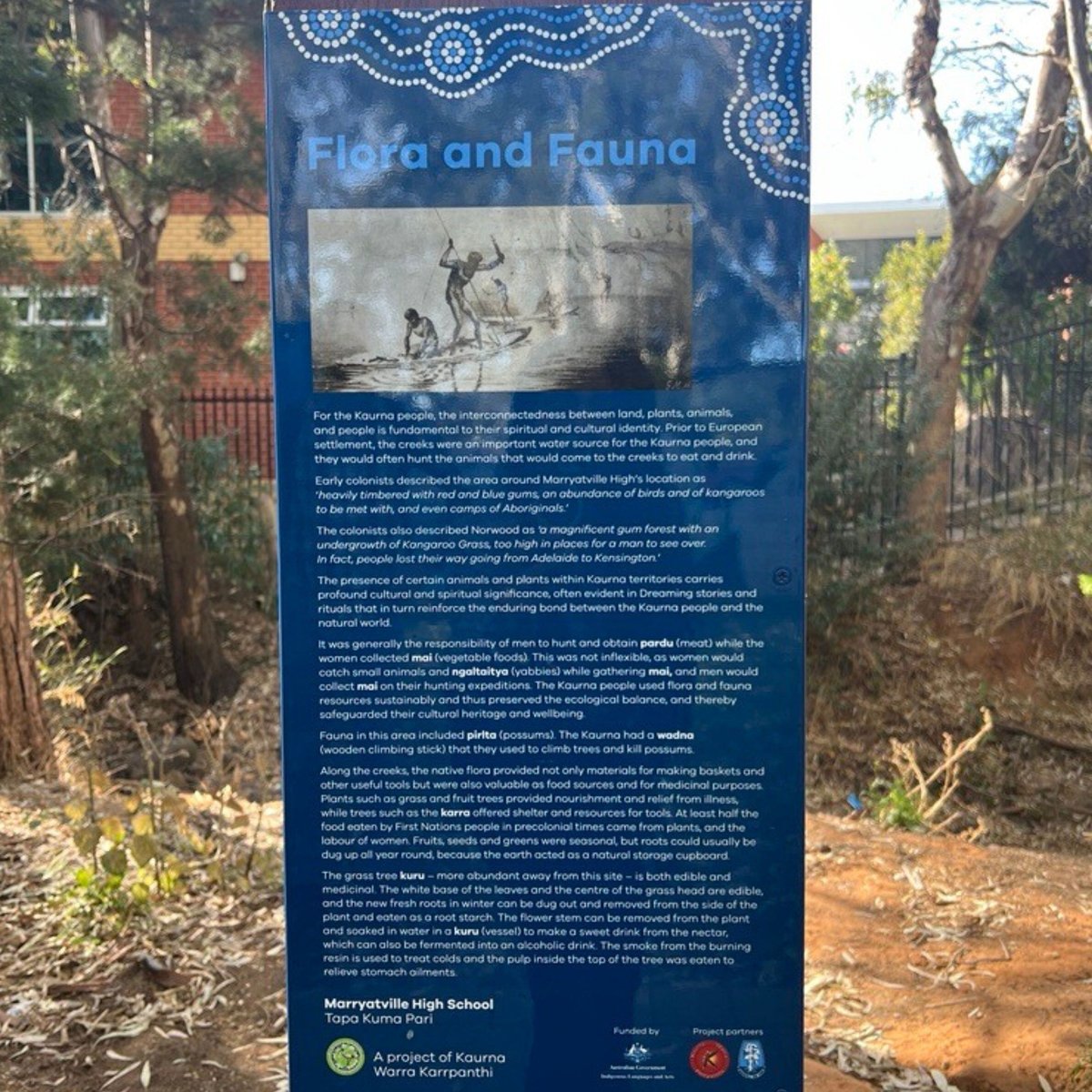 Marryatville High School's Journey to Reconciliation: Embedding Culture ...